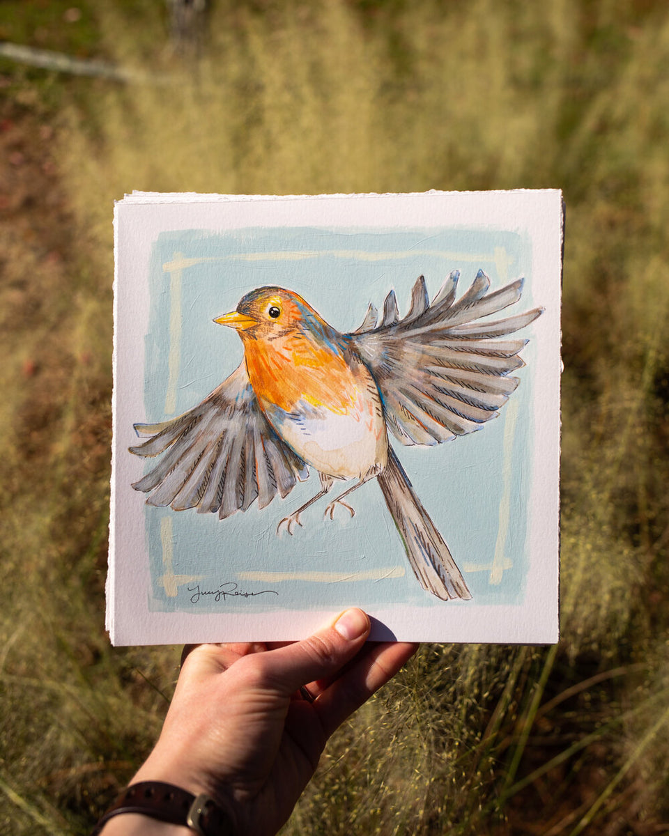 American Robin – Lucy Reiser Fine Art